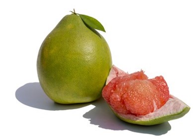 Makroclick | Local Pomelo Red Flesh-Medium/Large