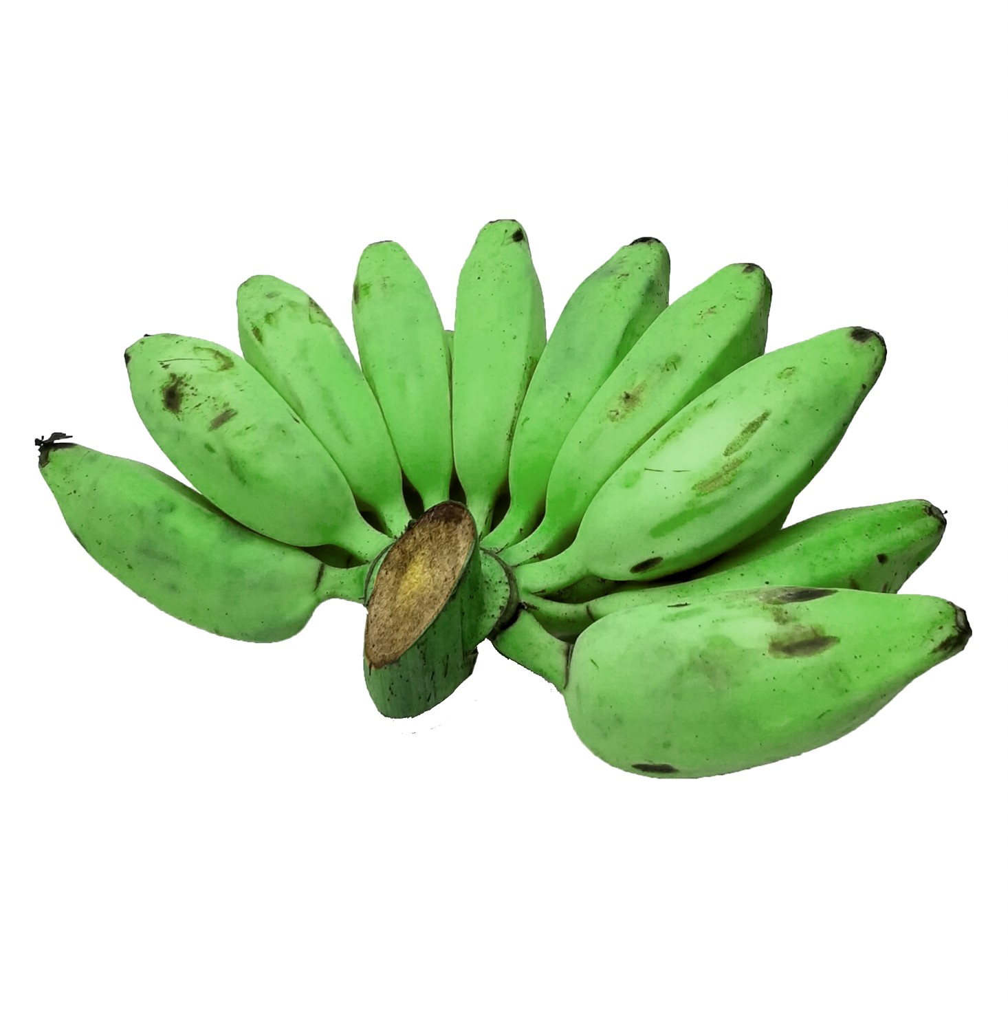 Makroclick | Natural Phee Kyan Std