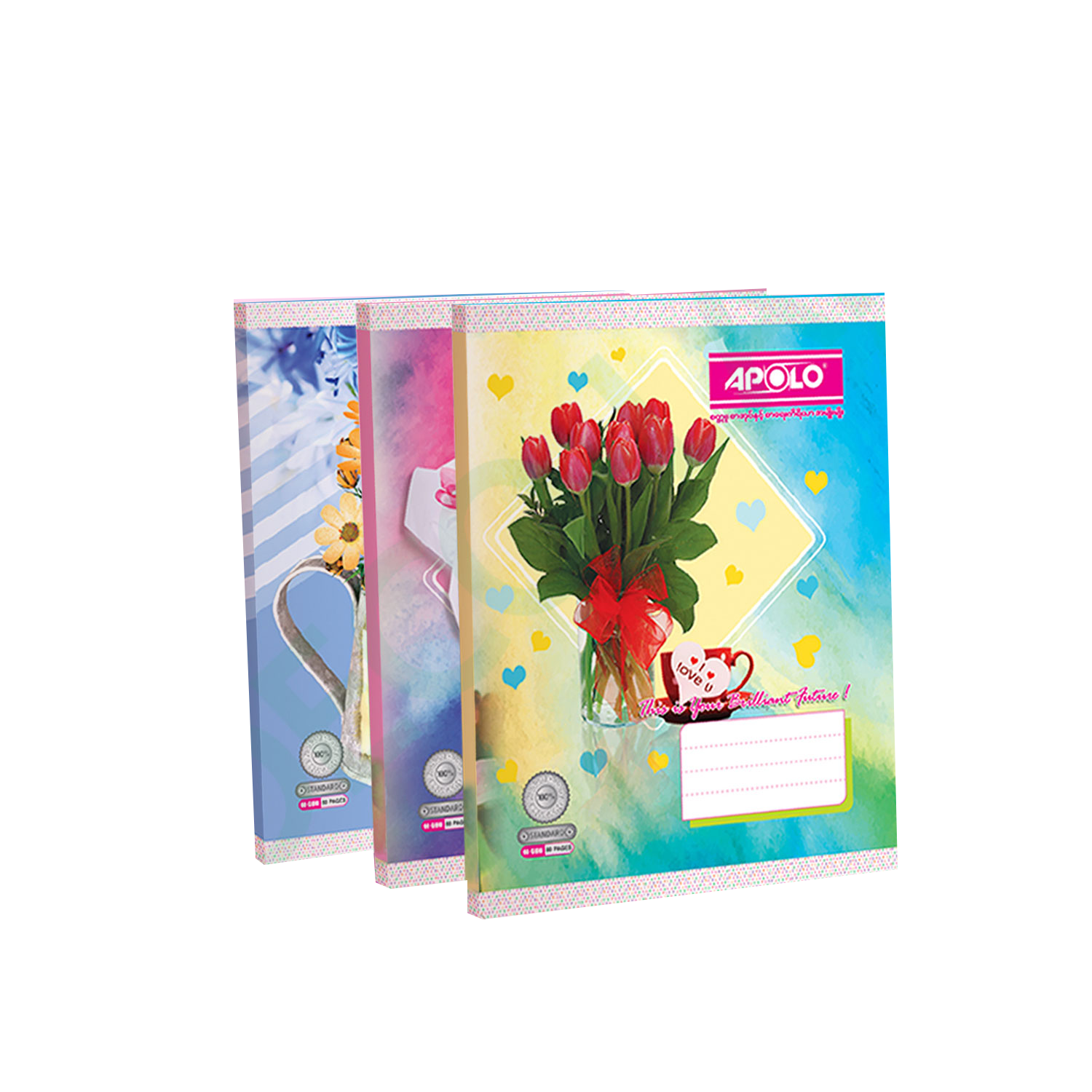 Makroclick | Apolo Exe:book 60g 120Pg 1DOZ