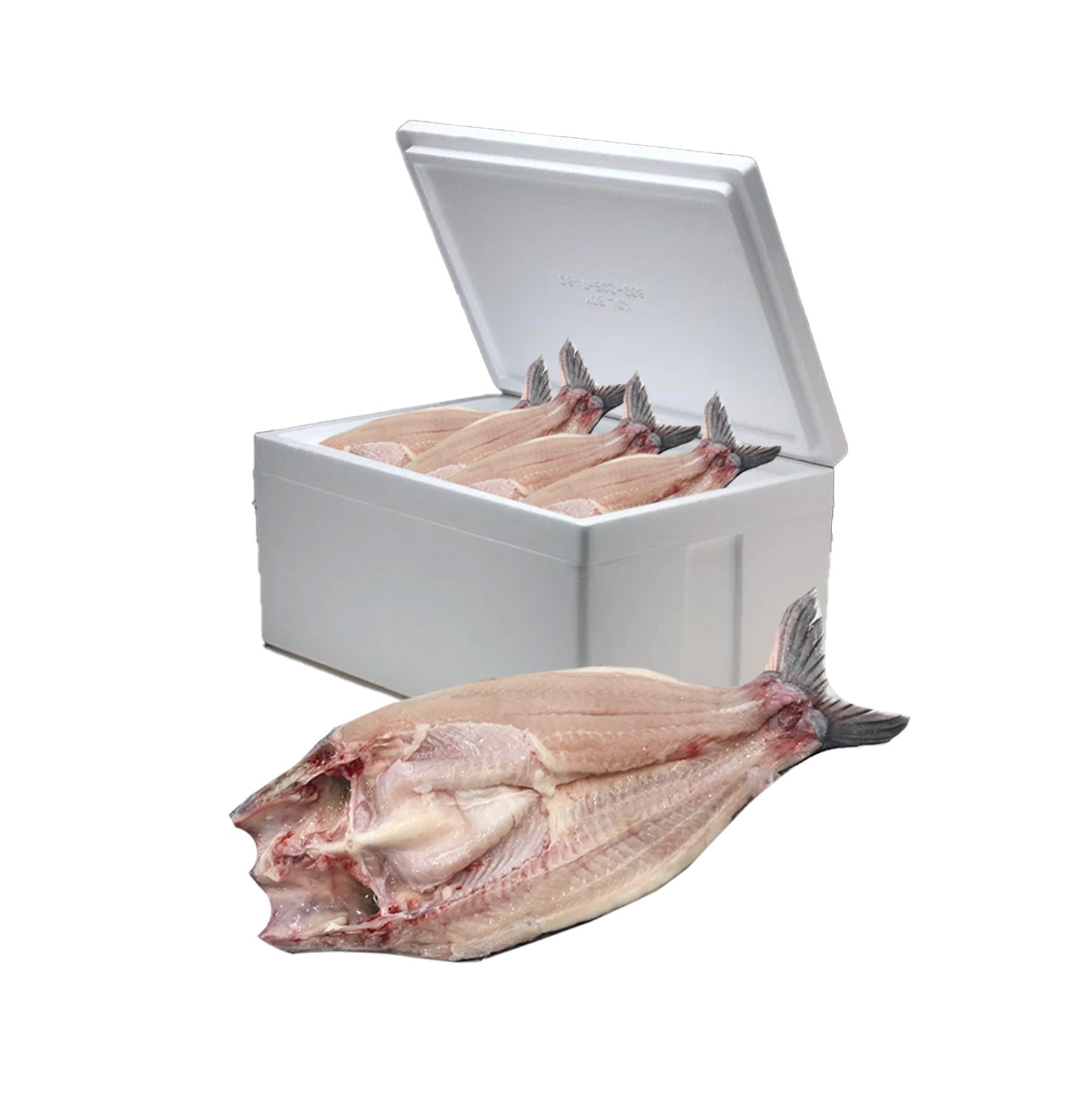 Makroclick | PANGASIUS BUTTERFLY CUT 3KG UP