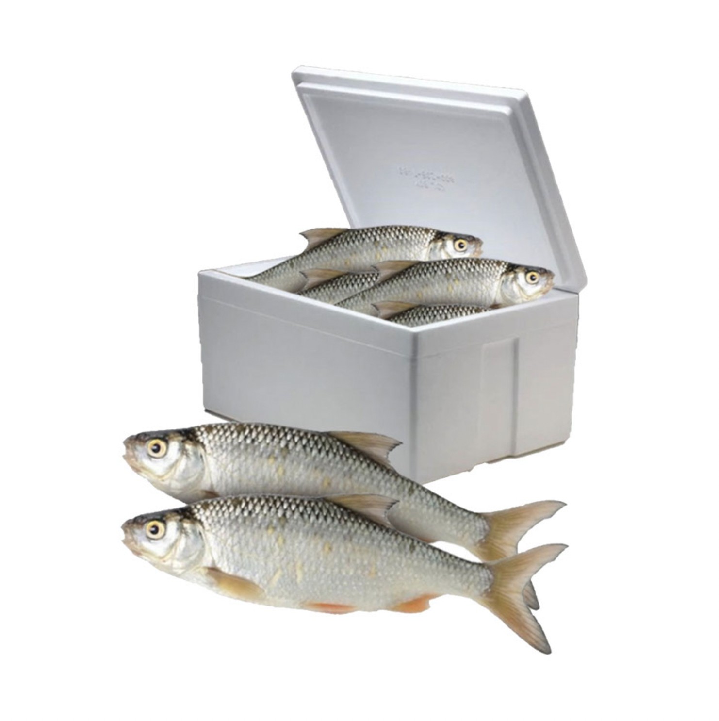 Makroclick | MRIGAL 800-1000G/PC_3KG UP