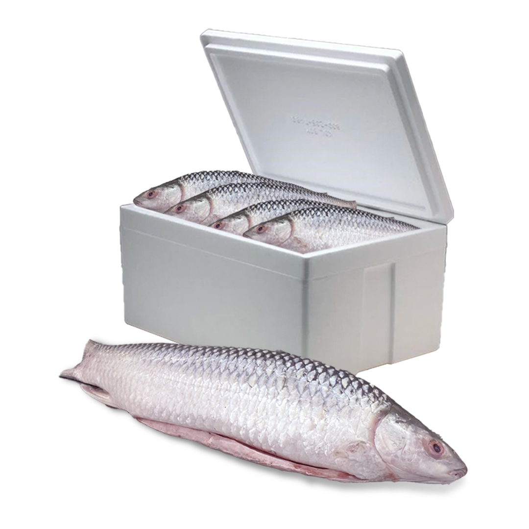 Makroclick | MRIGAL W/C 1.5-2KG/PC_3KG UP