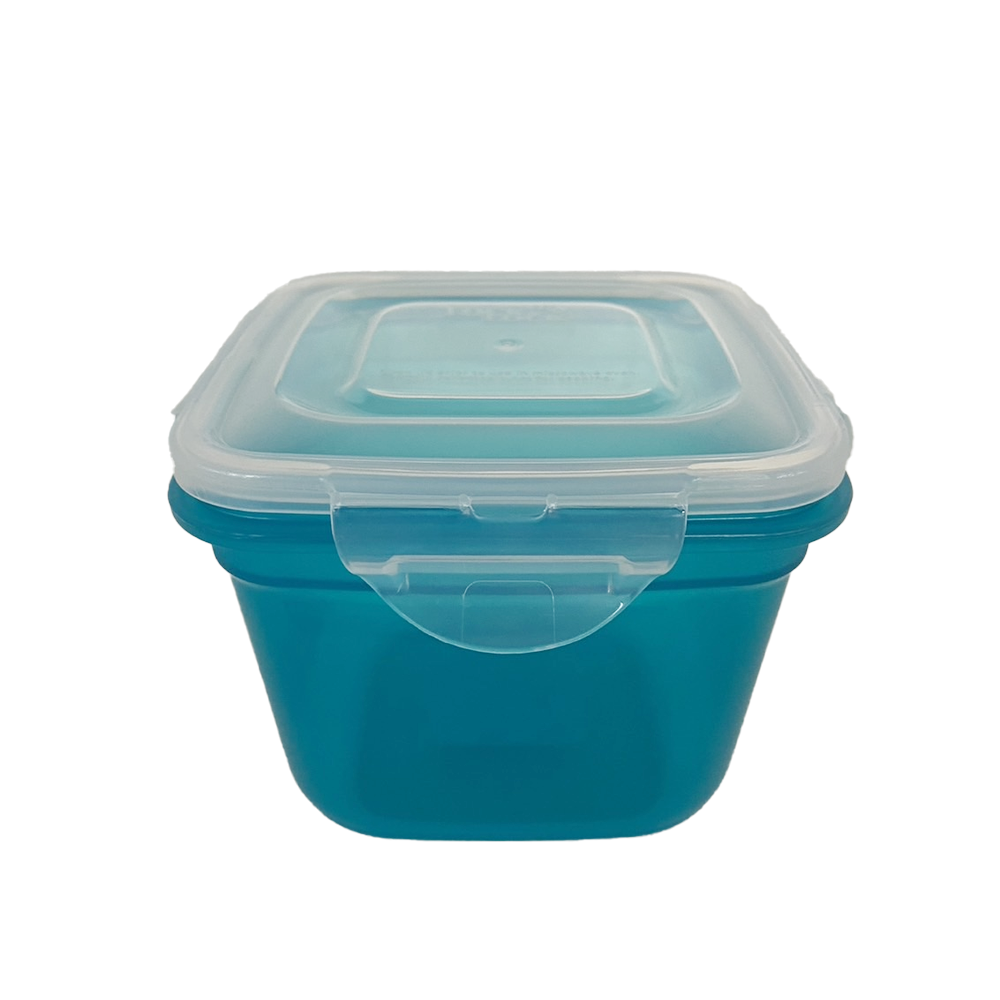 Makroclick | L&L FOOD CONTAINER 540ML8220CPBLU