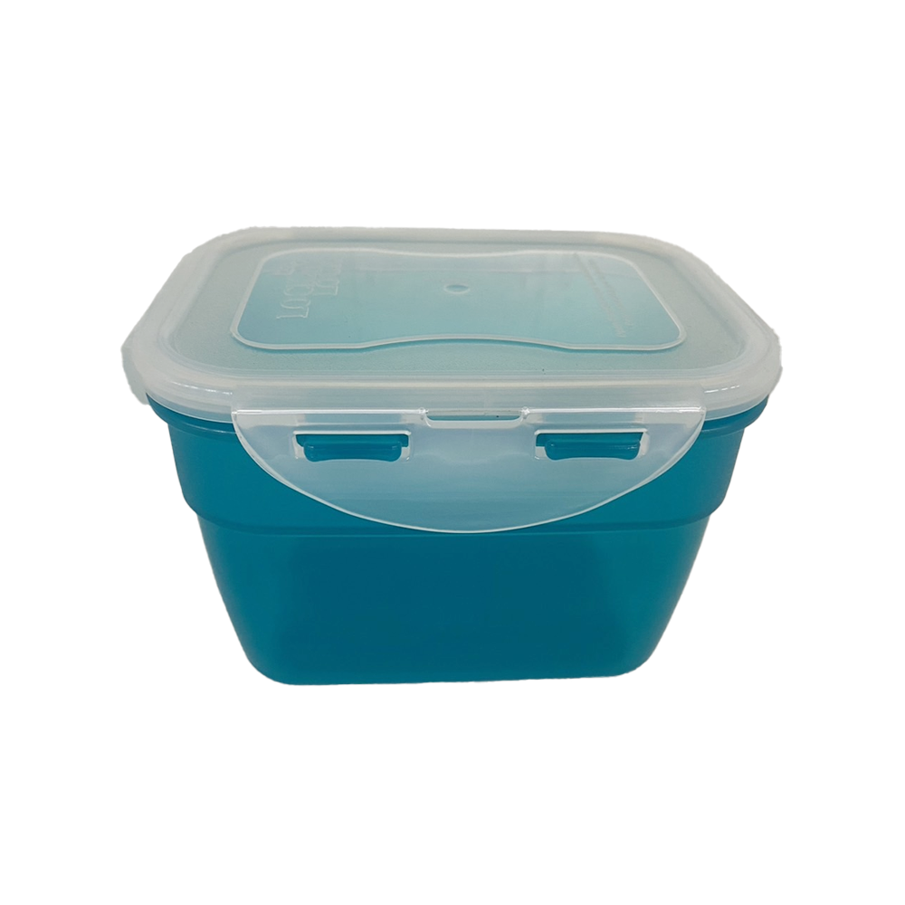 Makroclick | L&L FOOD CONTAINER 800ML 312CPBLU